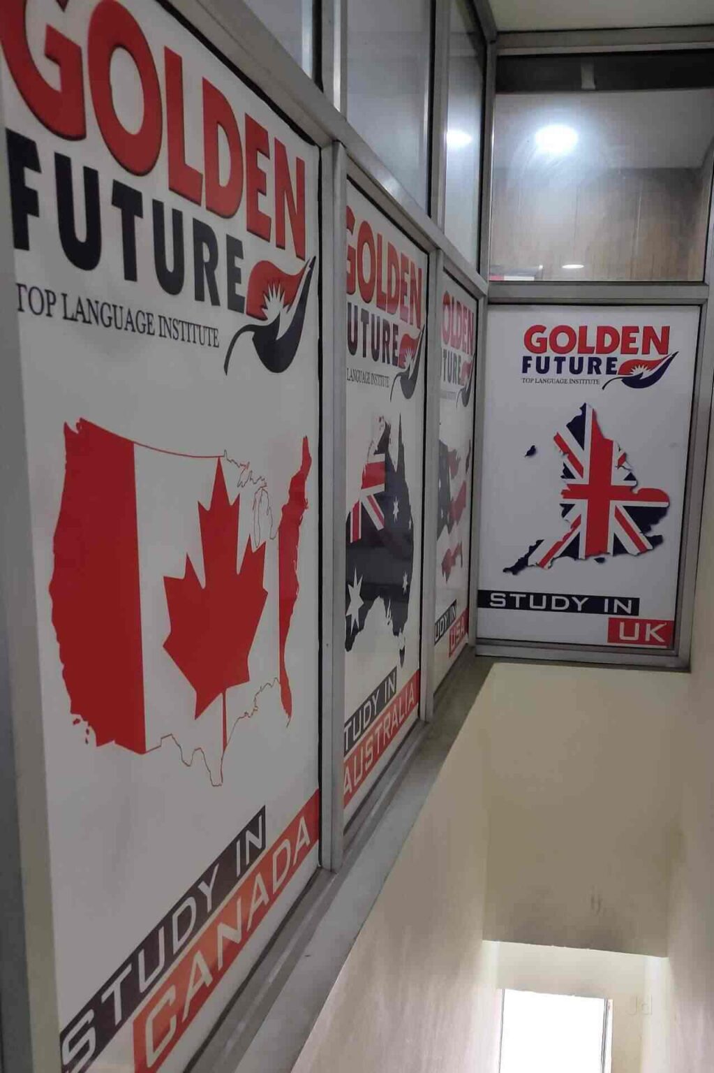 Lotus infotech – Lotus infotech